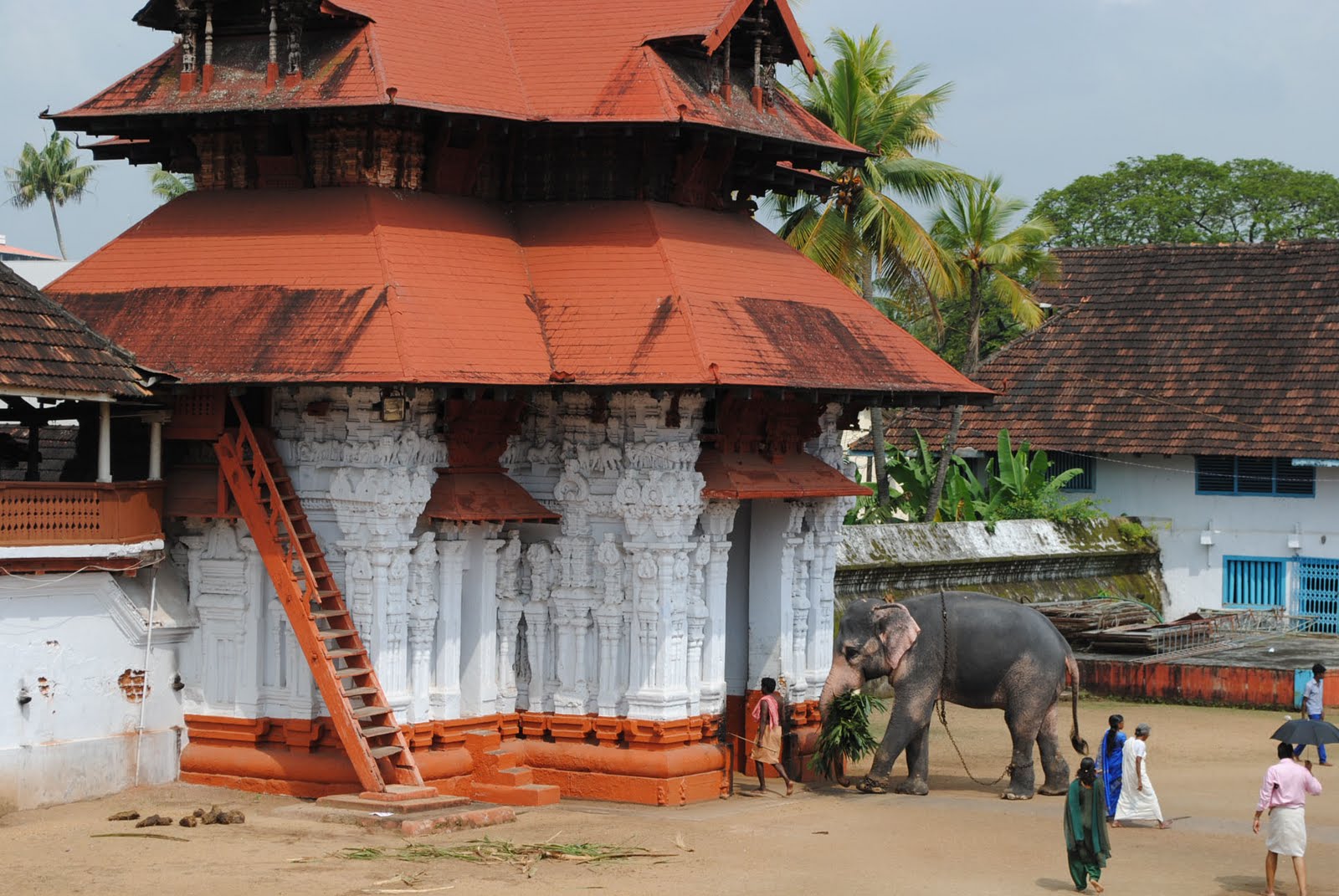 Trumpet by Meister: Tripunithura Ambalam