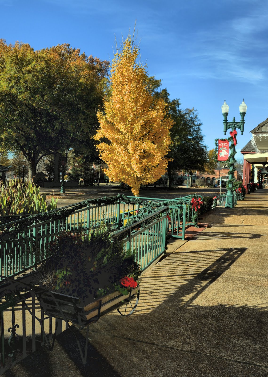 My View Collierville: Collierville Town Square (Northside)