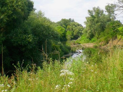 DERVENTSKIM KORZOM: Kemin vrbak