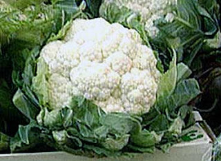 COLIFLOR ABORRAJADA