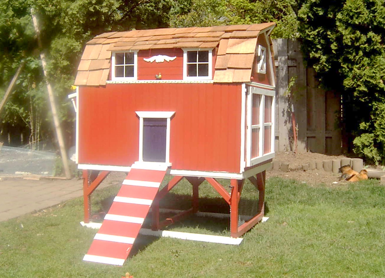 The Beautiful Chicken Farm