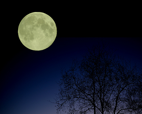 Beyond the Fields We Know: The Frosty Moon of November