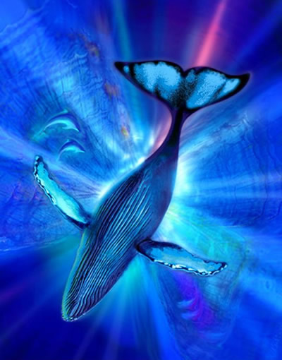 la ballena: la ballena