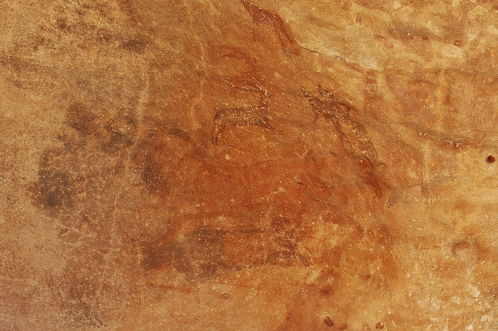 Arqueonatura: Yacimiento rupestre de El Cogull (Lleida)