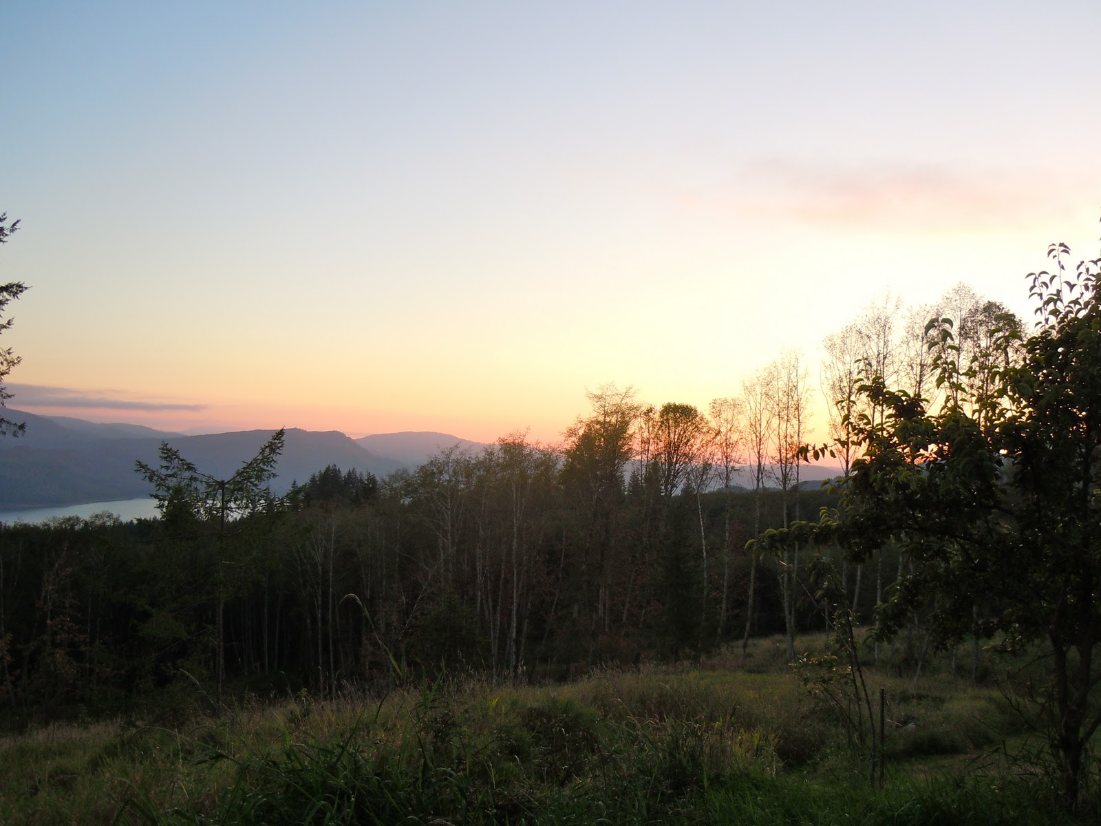 danielle abroad: sea town (seattle, wa) & more