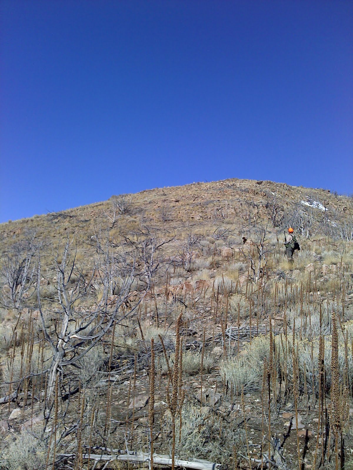 More Chukar Hunting