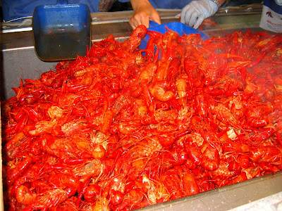 Good Eating, Good Living: Boiled Crawfish