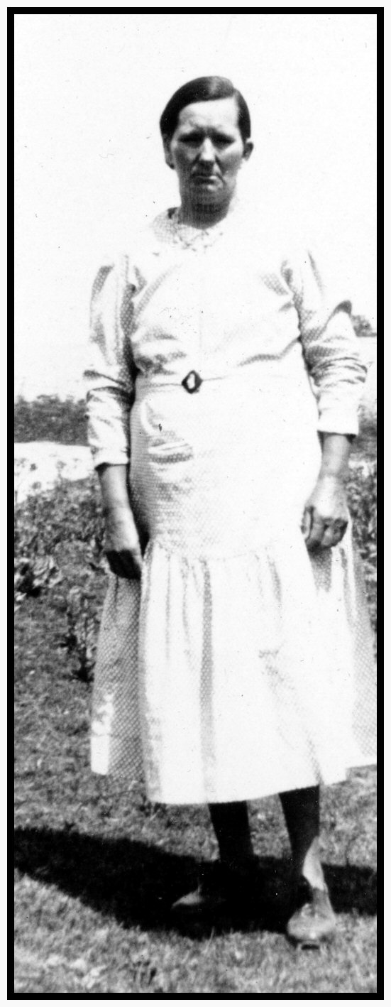 My Family History: Streetman, Willis, Williams, Luce and others ...