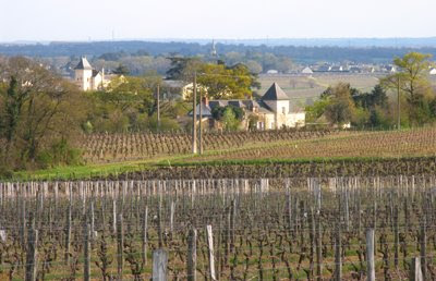 Jim's Loire: Cheering up the Layon