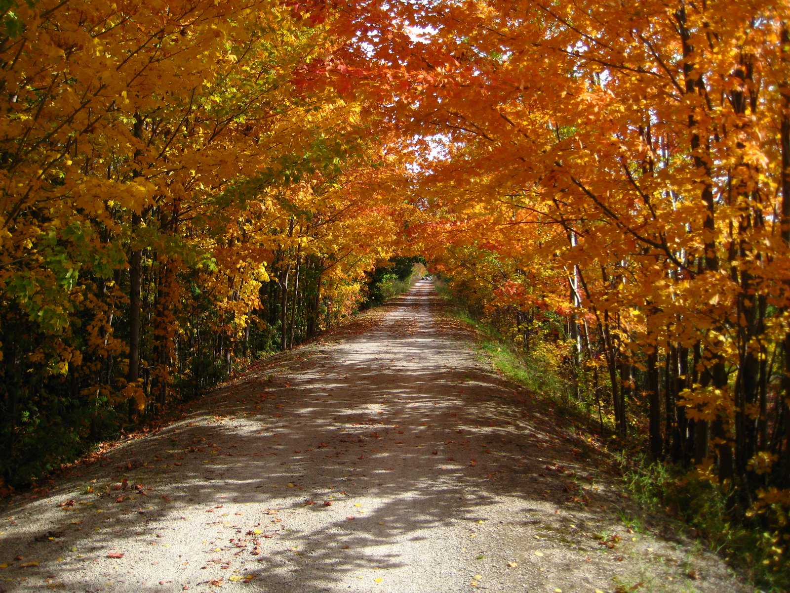 Roamerer | Eclective Focus... | Page 3