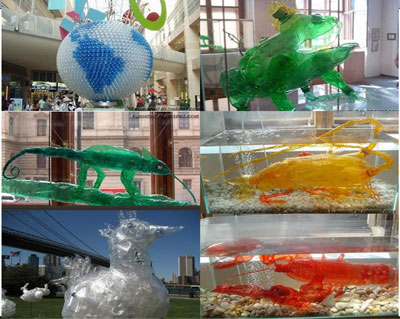 QASA - QUEM ACREDITA SEMPRE ALCANÇA: PET E ARTE