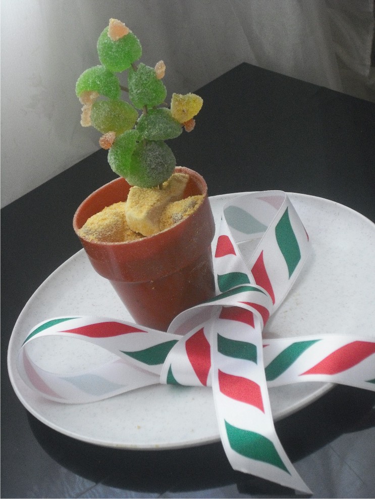 Todo Para Eventos: DULCES NOPALES.