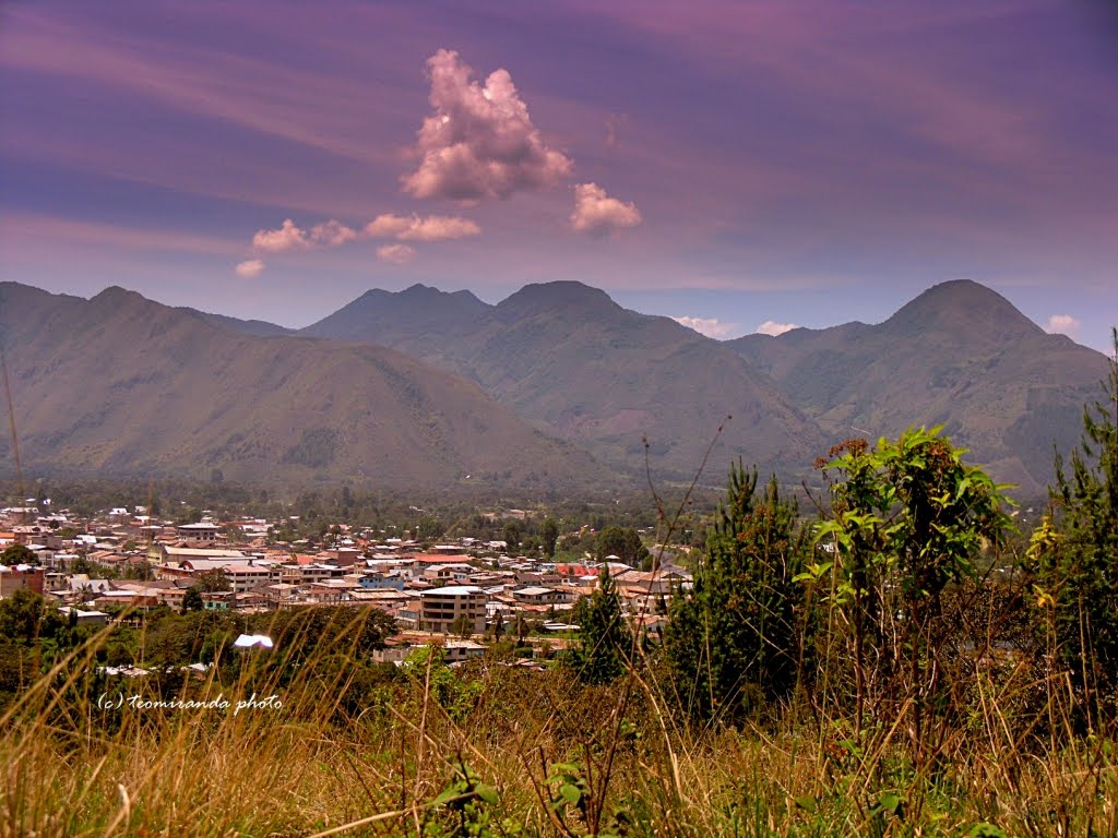 OXAPAMPA Turismo de Vivencias: CONOCE OXAPAMPA...