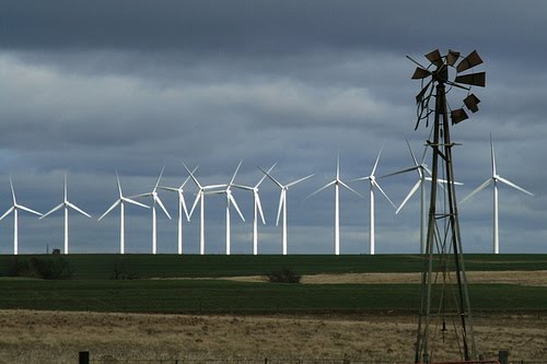 A Walk in the Park-Guadalupe Mountains: Windmills and Evolution