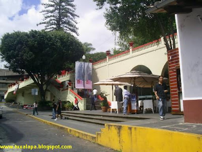 Tu Xalapa: Set de Fotos del Parque Juárez