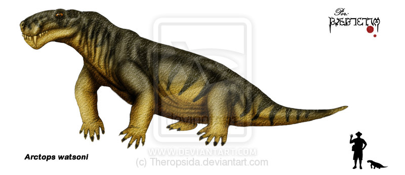 Hronoblog: 299-251 млн лет назад. Пермский период. Жизнь.(Продолжение1)