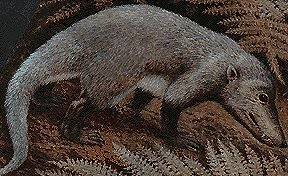 Hronoblog: 299-251 млн лет назад. Пермский период. Жизнь.(Продолжение 2)