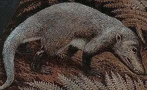 Hronoblog: 299-251 млн лет назад. Пермский период. Жизнь.(Продолжение 2)