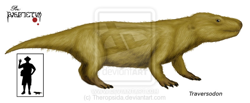 Hronoblog: 299-251 млн лет назад. Пермский период. Жизнь.(Продолжение 2)