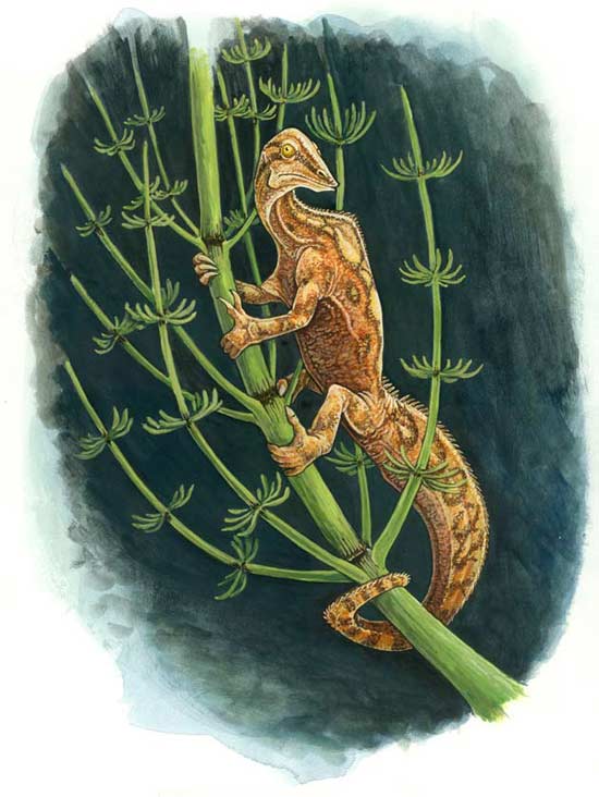 Hronoblog: 299-251 млн лет назад. Пермский период. Жизнь.(Продолжение 4)