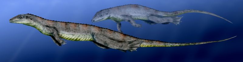 Hronoblog: 299-251 млн лет назад. Пермский период. Жизнь.(Продолжение 4)