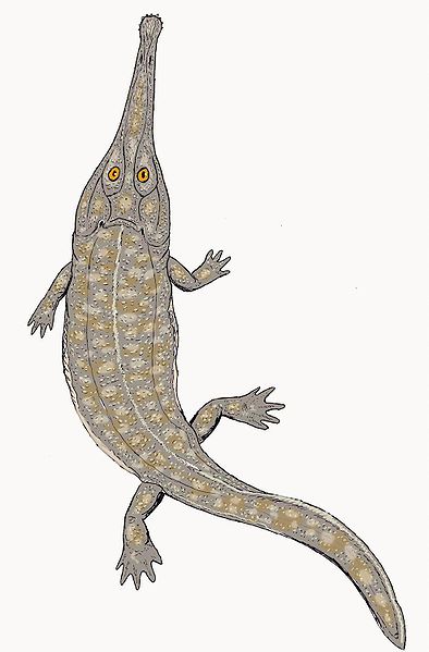 Hronoblog: 299-251 млн лет назад. Пермский период. Жизнь.(Продолжение 6)