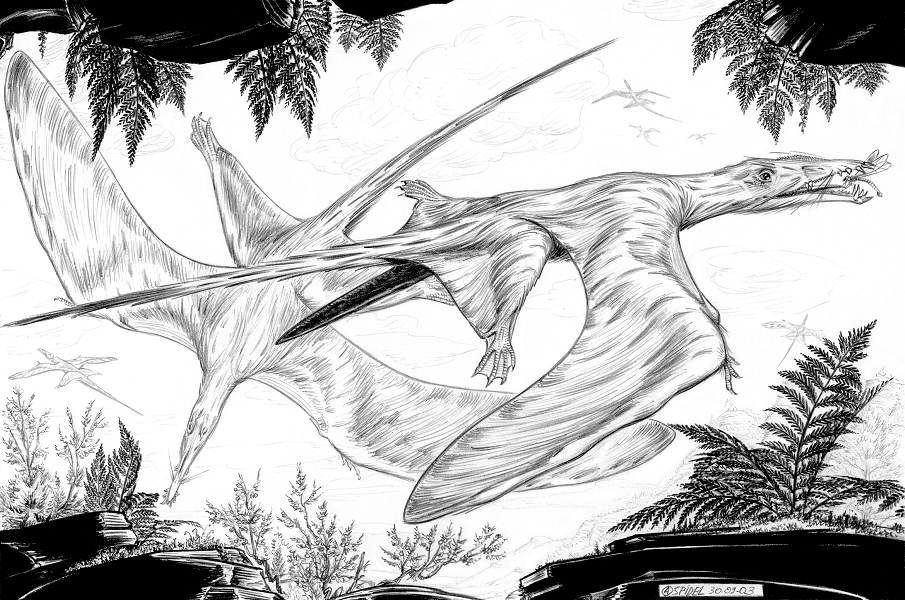 Hronoblog: 251-199.6 млн лет назад.Триасовый период.Жизнь 4.