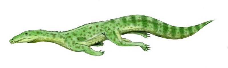 Hronoblog: 251-199.6 млн лет назад.Триасовый период.Жизнь 2.