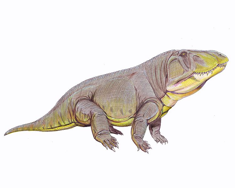 Hronoblog: 251-199.6 млн лет назад.Триасовый период.Жизнь 5.