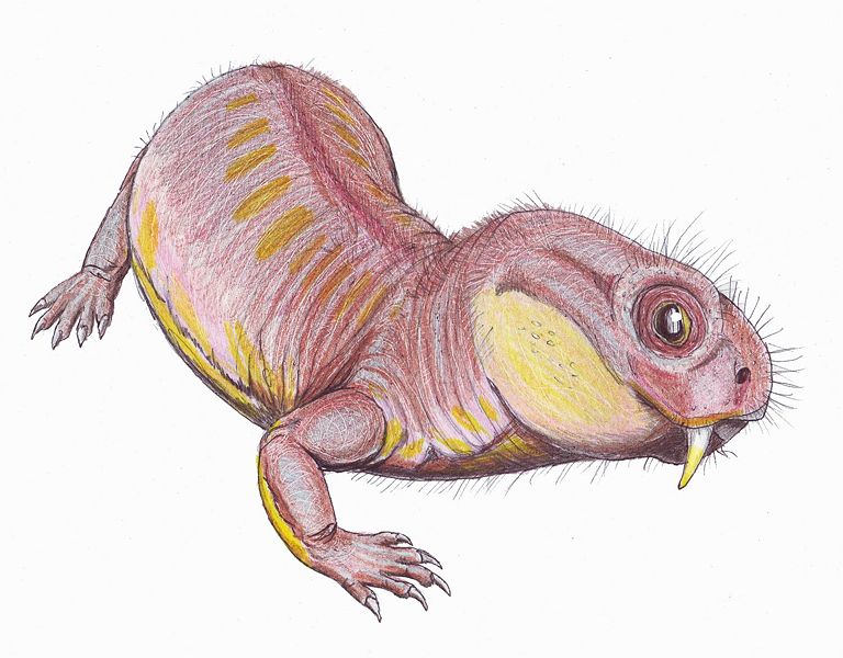 Hronoblog: 251-199.6 млн лет назад.Триасовый период.Жизнь 9.