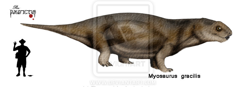 Hronoblog: 251-199.6 млн лет назад.Триасовый период.Жизнь 9.