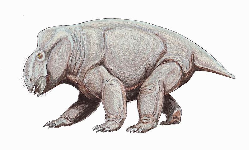 Hronoblog: 251-199.6 млн лет назад.Триасовый период.Жизнь 9.