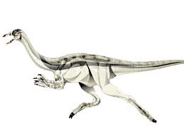 Hronoblog: 145,5-65,5 млн лет назад.Меловый период.Жизнь 3.