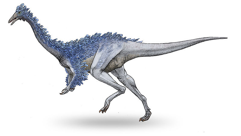 Hronoblog: 145,5-65,5 млн лет назад.Меловый период.Жизнь 3.