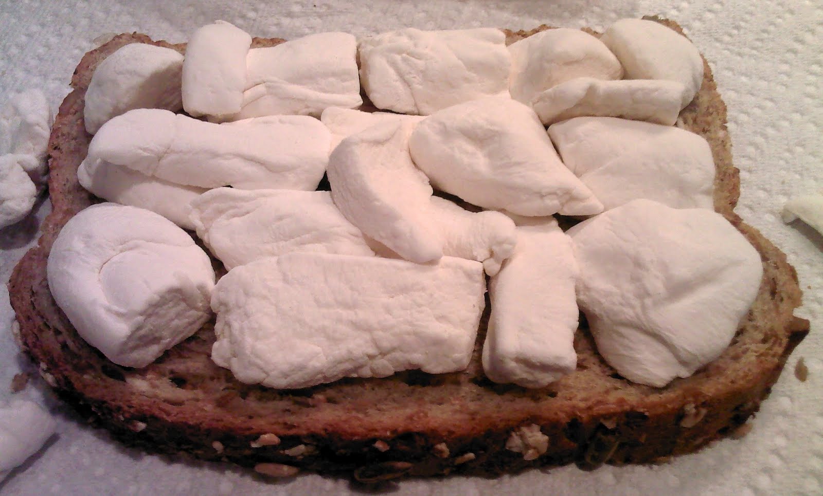 A (soy) Bean: Behold the Vegan Fluffernutter