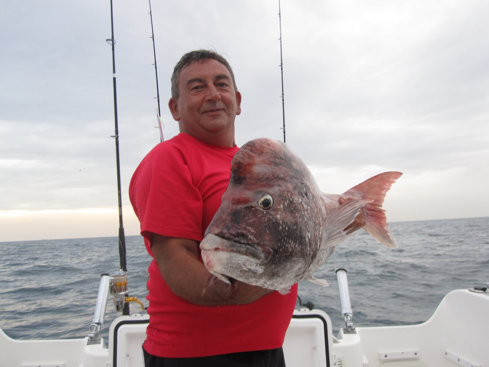 PESCA CINTINA: ¡Pargo de 18 kg!