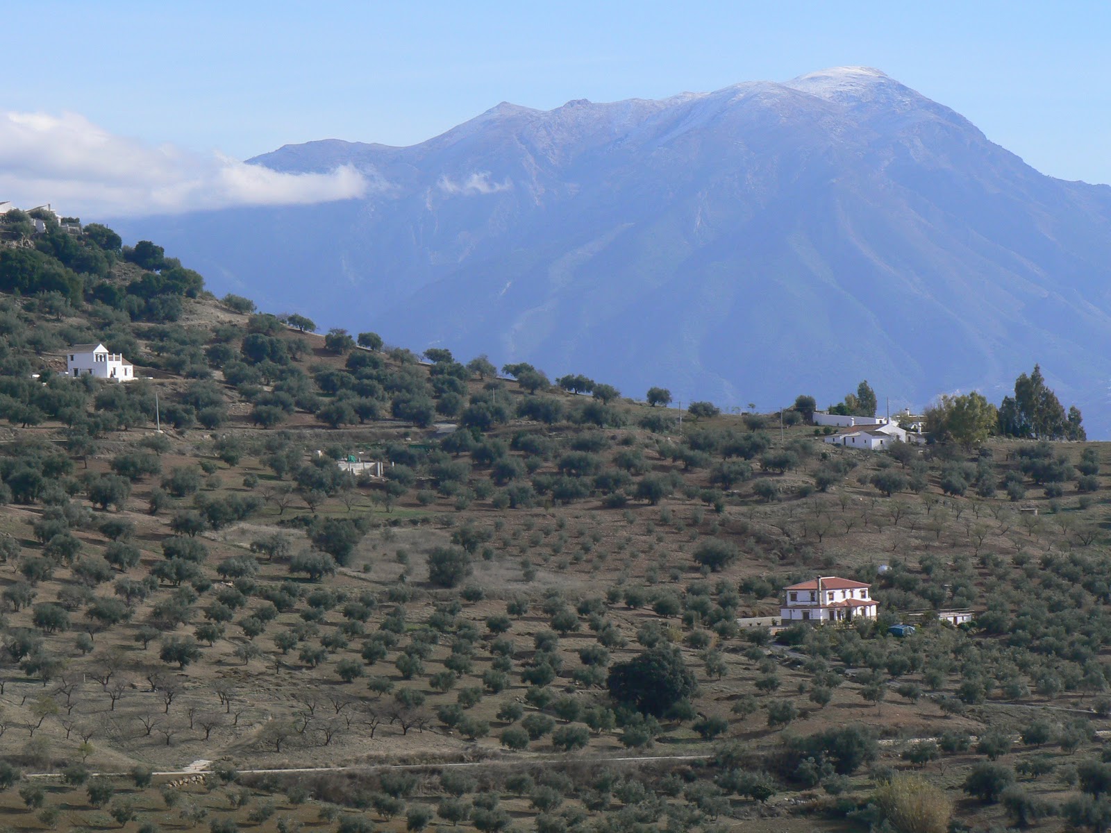 A year in Spain: El Cortijo, Andalucia 4-8 Dec