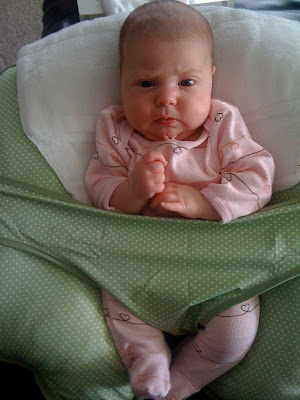 A First Time Mom's Guide...: Leachco Cuddle-U Nursing Pillow