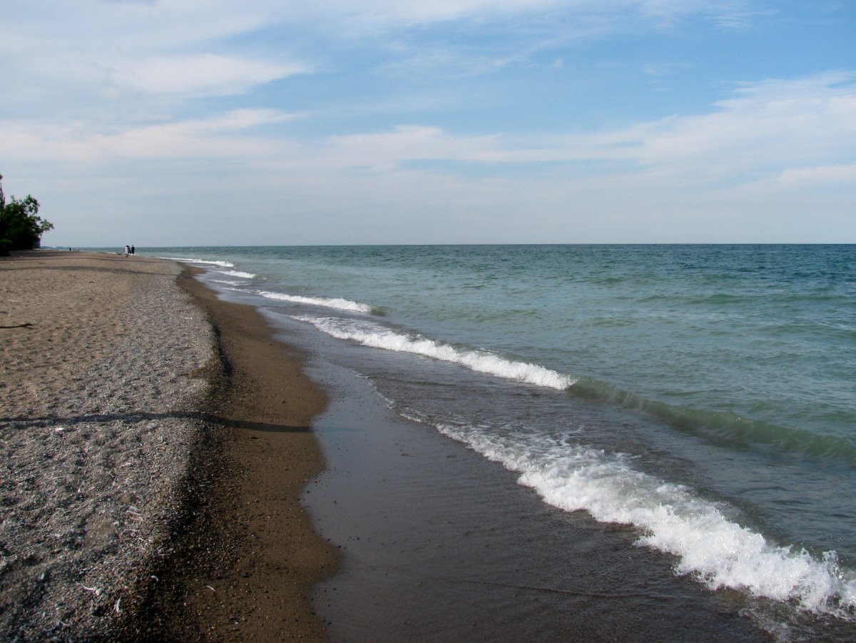 Gravel Beach: Point Pelee