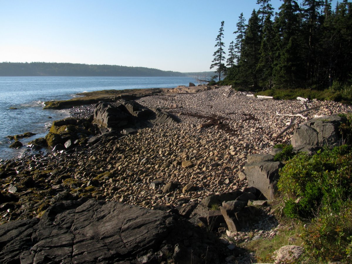 Gravel Beach: Schoodic Peninsula