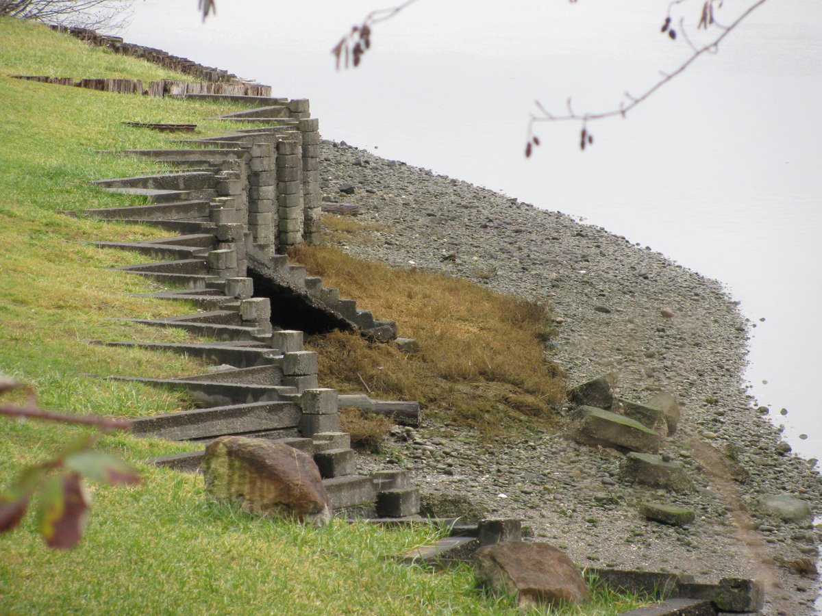 Gravel Beach: Hammersley Inlet