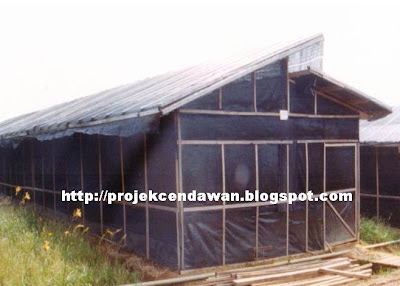Oh Rumah Cendawan: Apa Yang Perlu Diketahui?? | PROJEK CENDAWAN TIRAM ...