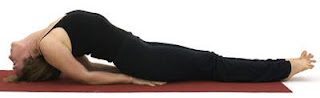 YOGA STRETCHES: THE FISH POSE