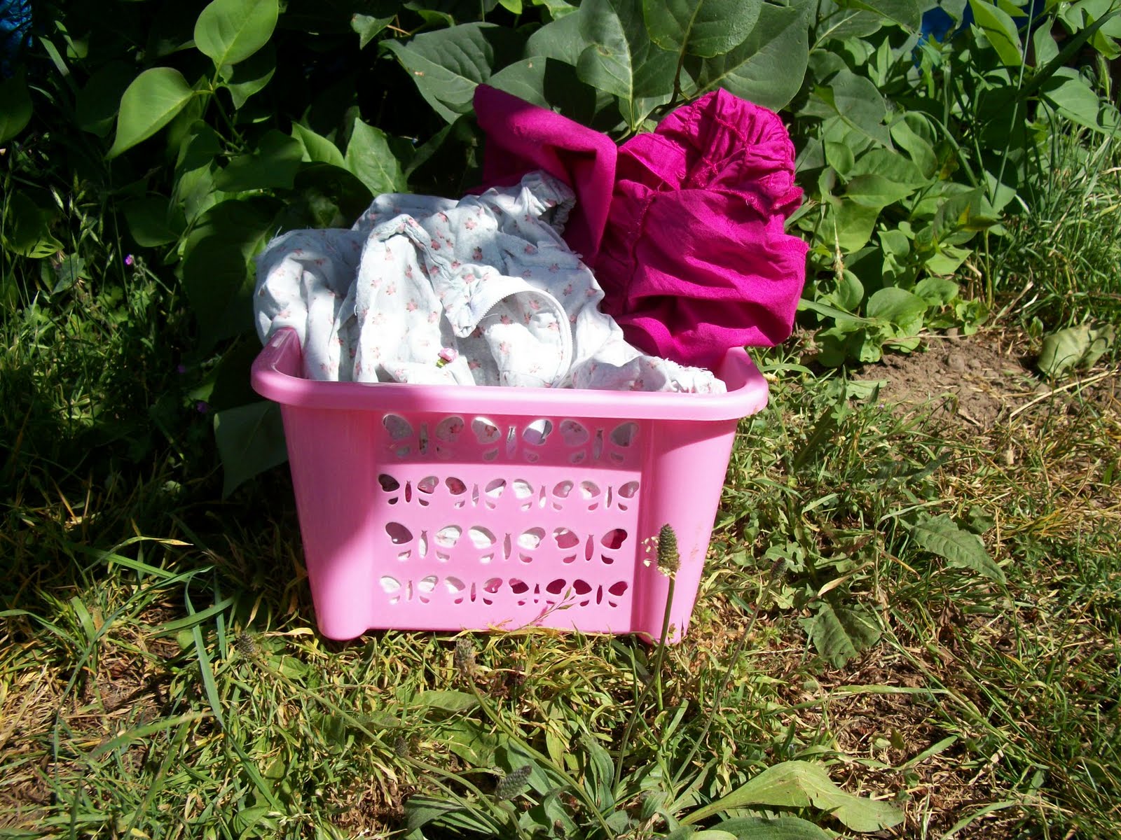 Home Living: Clothes in Wind