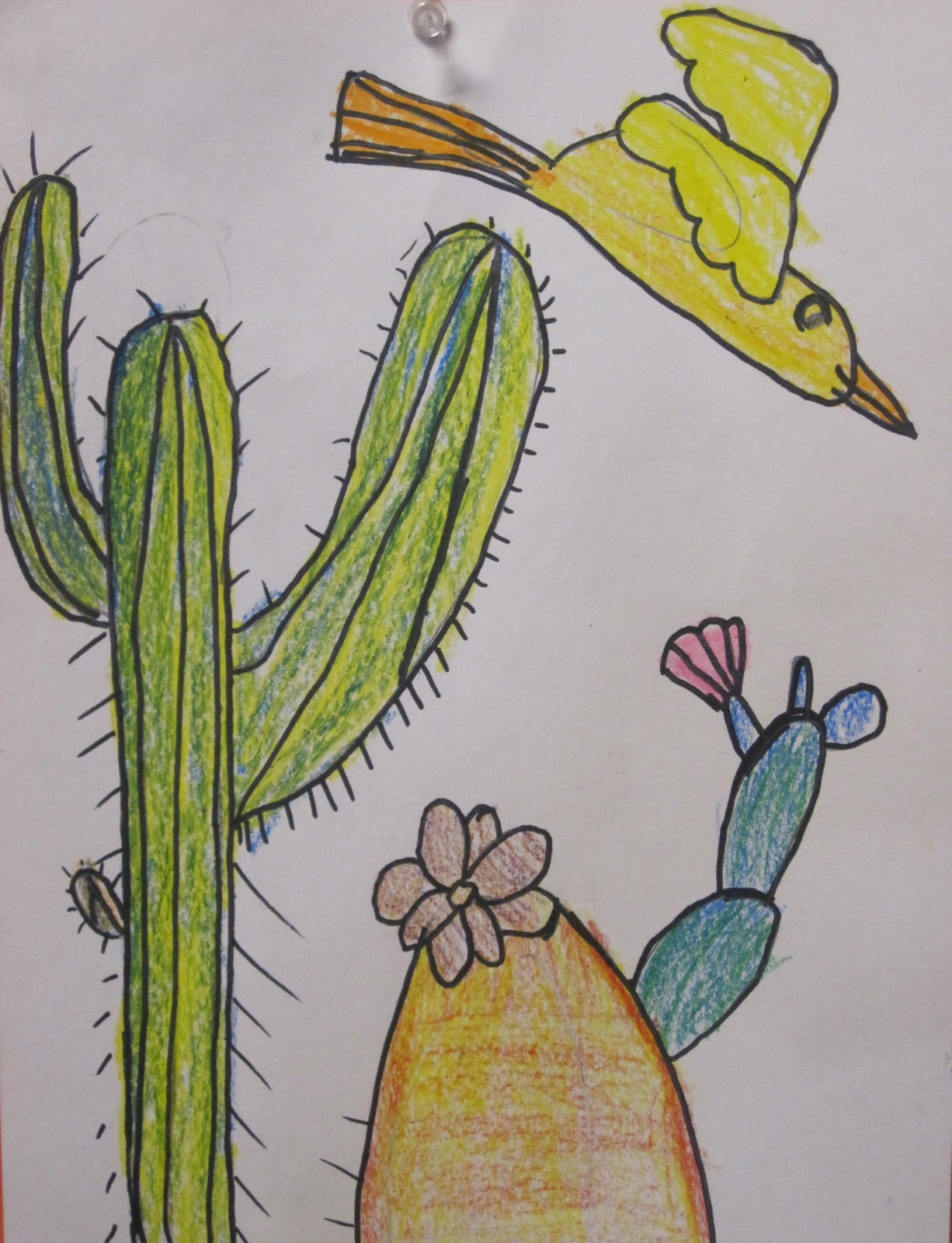 shine brite zamorano: look out for those cacti!