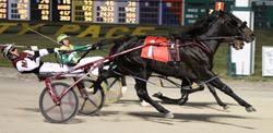 Horses and Hockey: Harness driver Doug McNair wins 1,000 races at 20