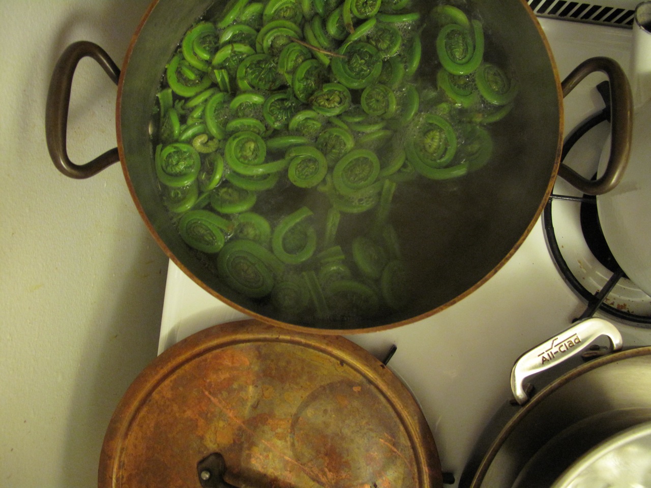 the little house in the city: How To Cook Fiddlehead Ferns