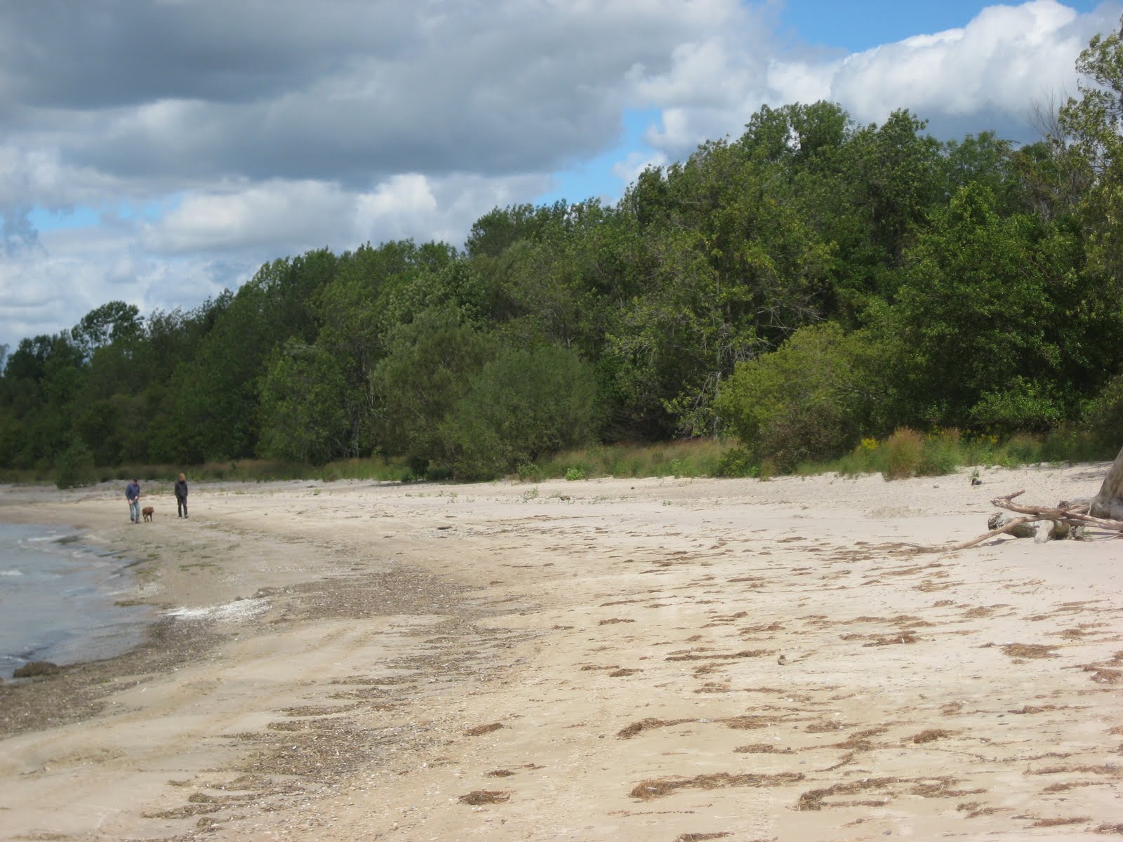 The Neat Little Bookshop: James N. Allan Provincial Park ~ Myrnam Beach