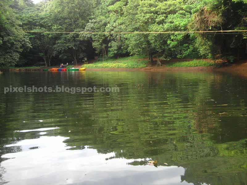 Thenmala Adventure Zone Activities Photos and Details - Kerala Eco ...