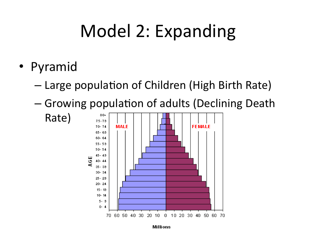 Our Social Studies 11 Class: Class Notes - June 1 - Population Pyramids